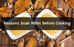 Why Should We Soak Millet Before Cooking? - Ediblenosh